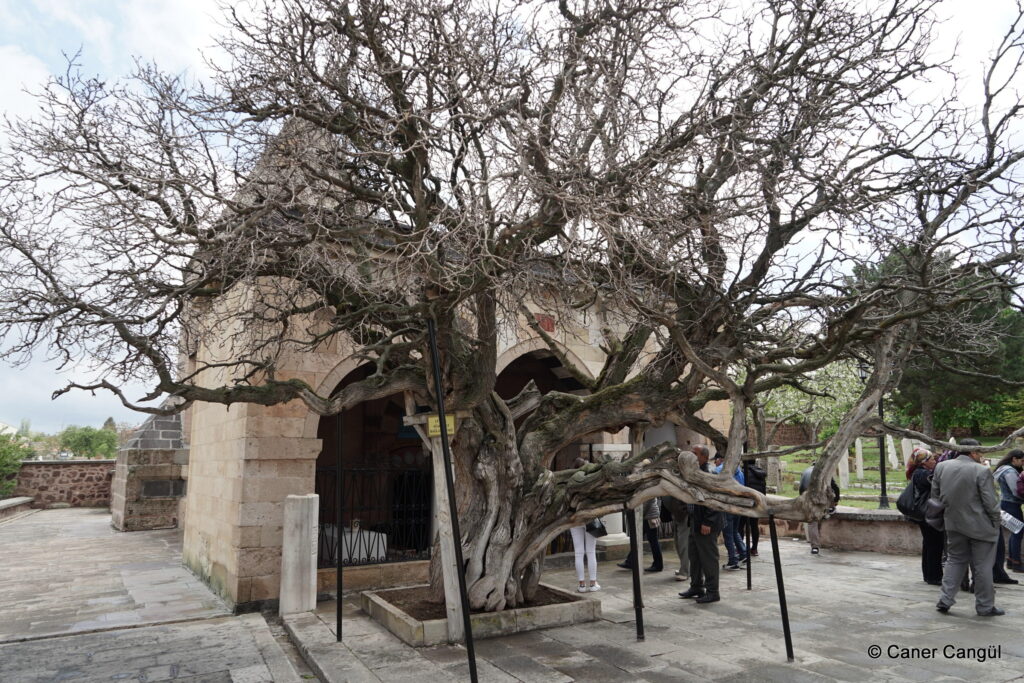 Balım Sultan Tomb • Location, Photos and Information About It ...