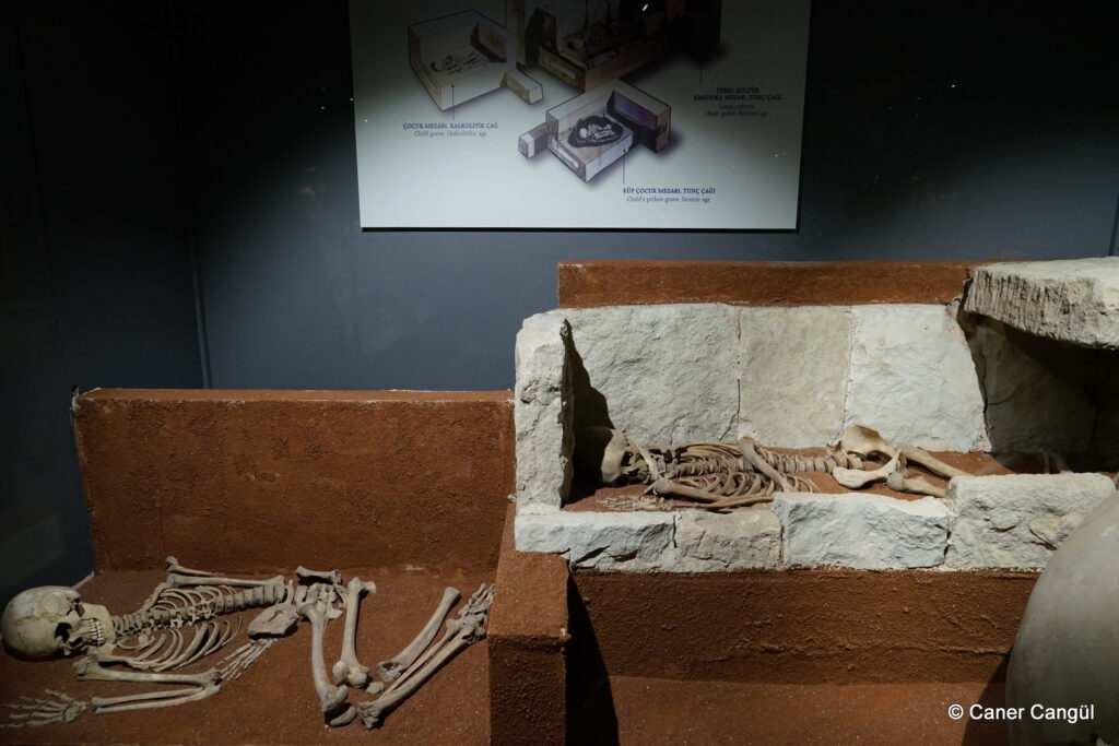 Gordion Museum • Cultural Inventory