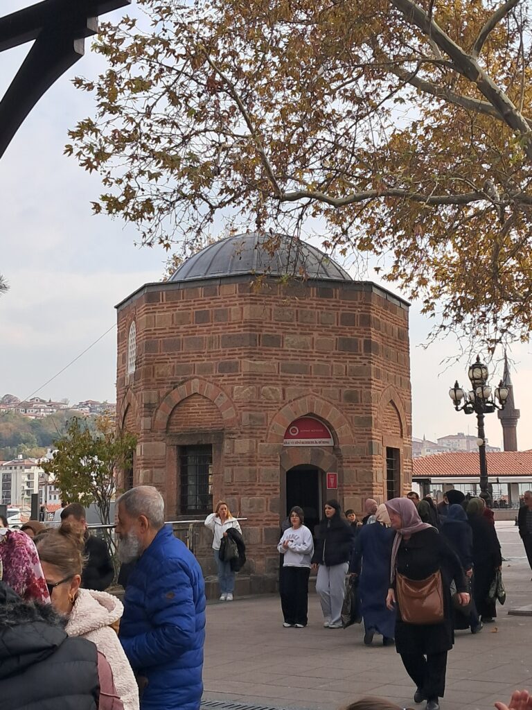 20241111_150025 • Cultural Inventory