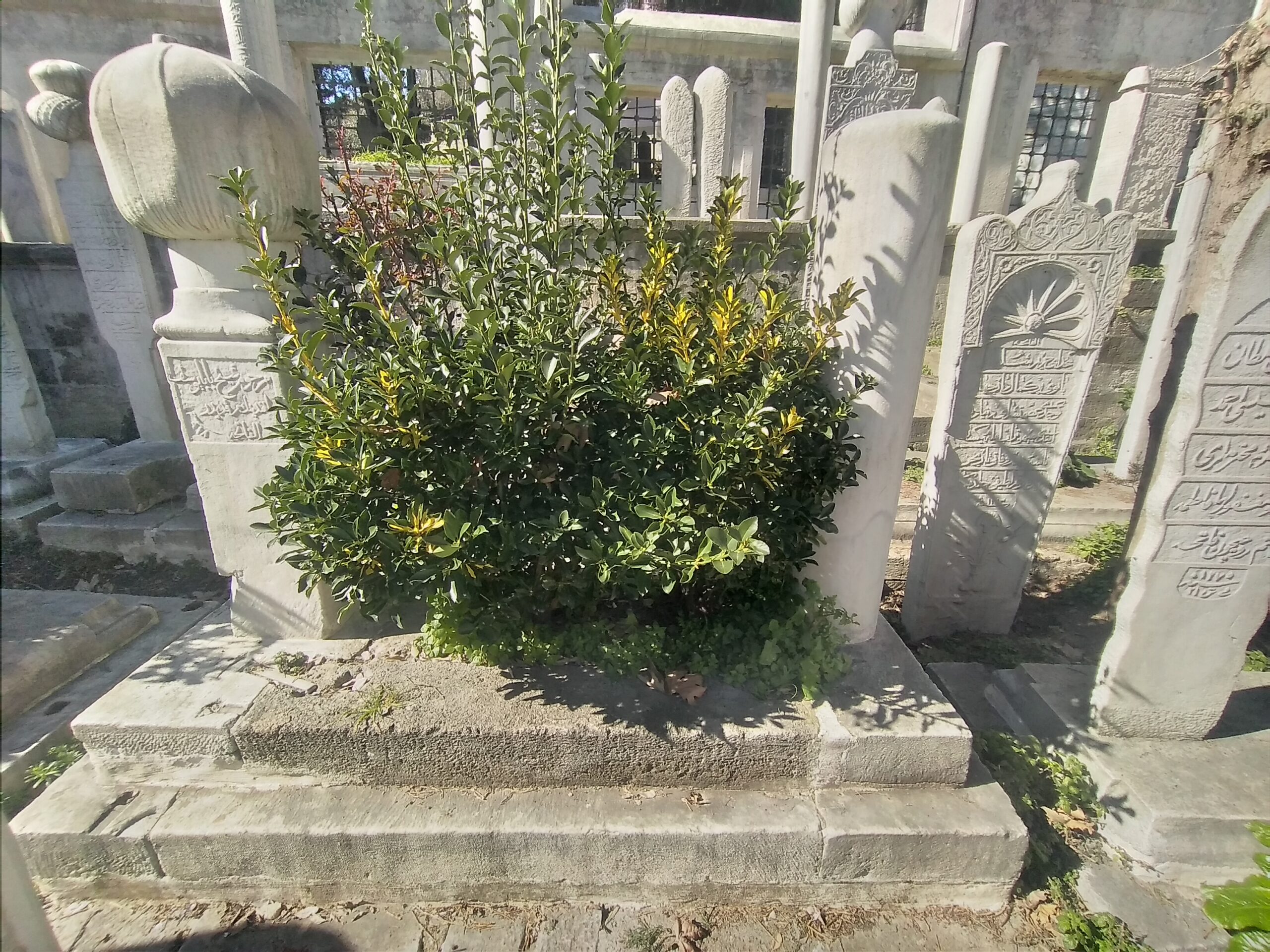 Baba Yusuf Bayrami Kabri • Konumu, Fotoğrafları ve Hakkındaki Bilgiler ...