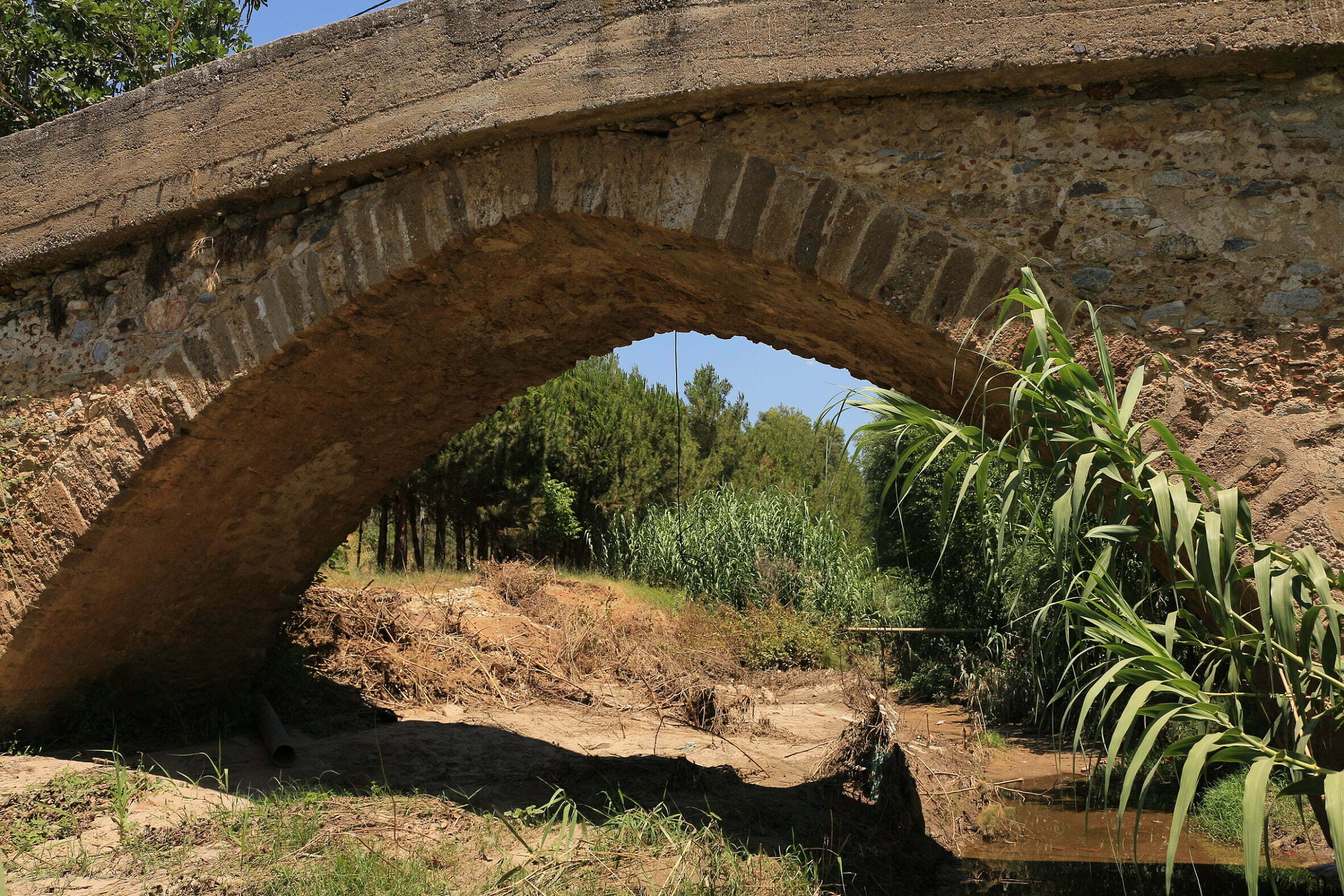 Taşköprü, Emirdoğan • Location, Photos and Information About It ...