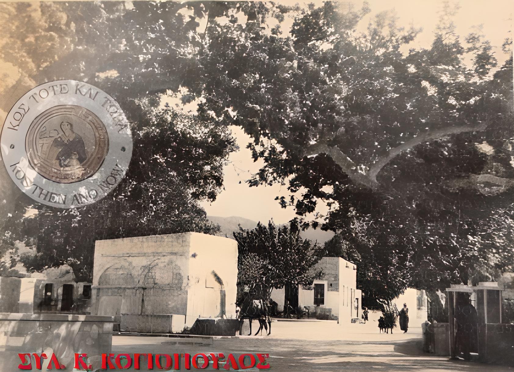 zyro-image • Cultural Inventory