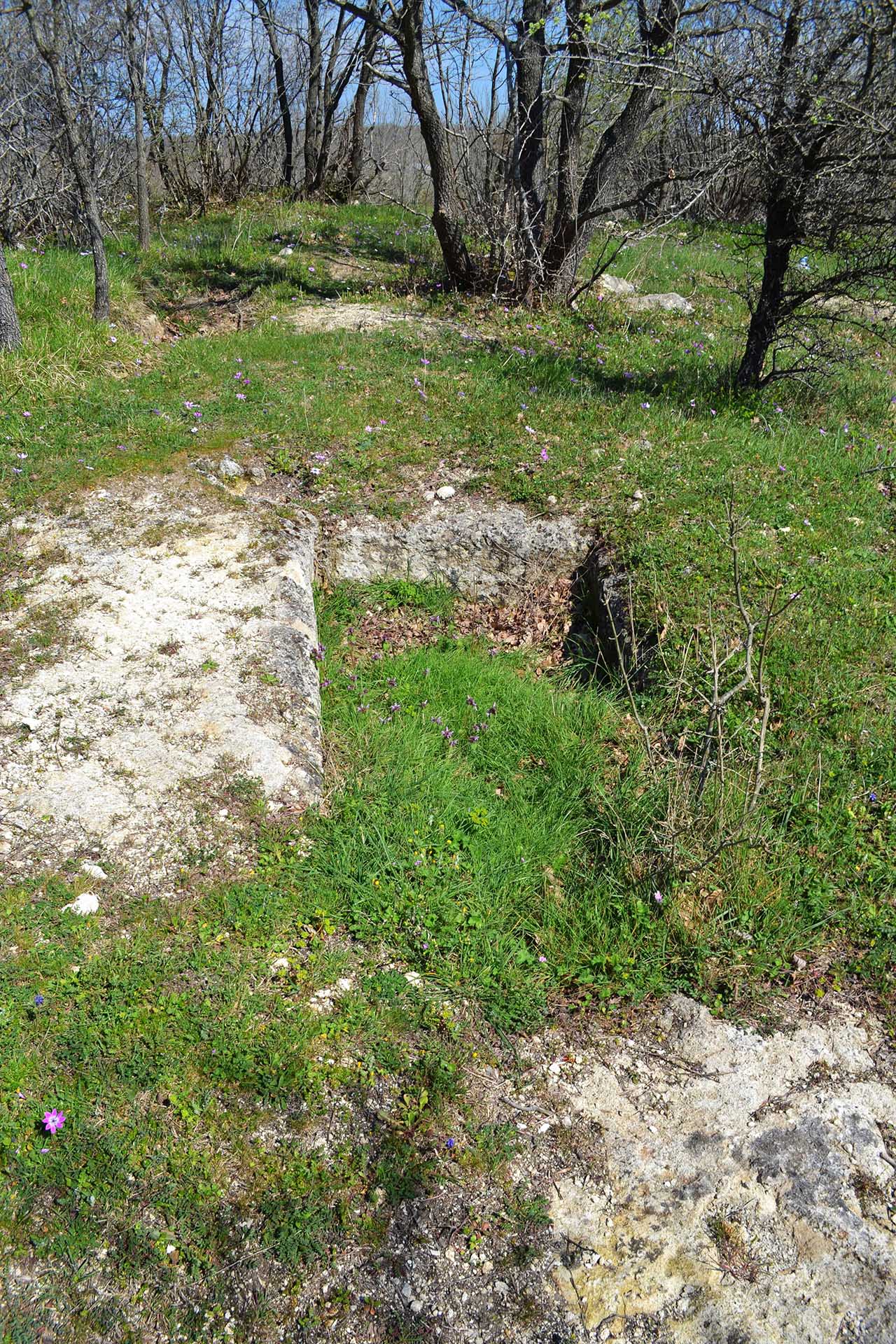 Balkaya Cult Area - A Tomb from the Necropolis Area • Cultural Inventory