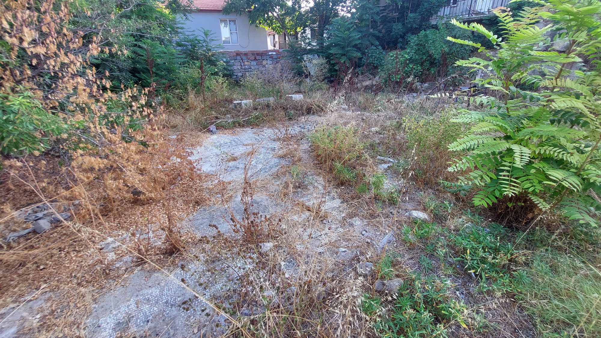 Enez Mozaikli Yapı • Konumu, Fotoğrafları ve Hakkındaki Bilgiler ...