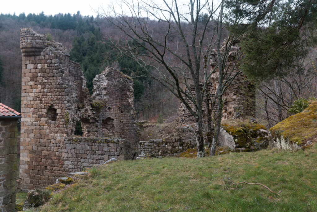 Argental Kalesi • Konumu, Fotoğrafları ve Hakkındaki Bilgiler • Kültür ...