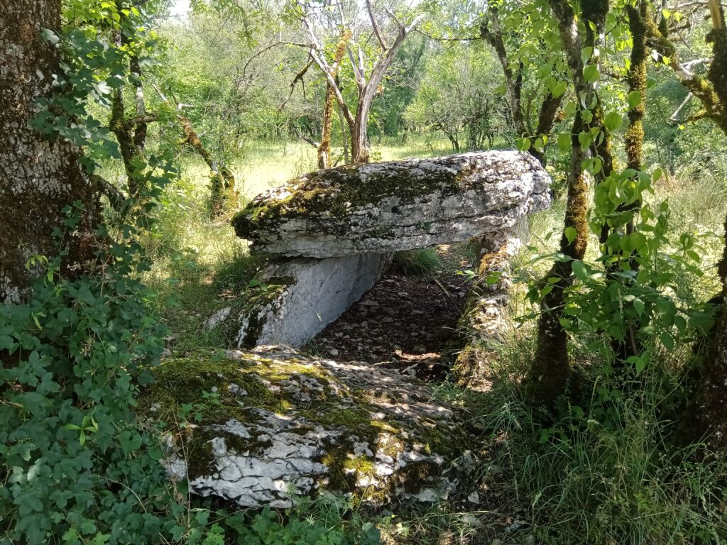 Dolmen, Joncas • Konumu, Fotoğrafları ve Hakkındaki Bilgiler • Kültür ...