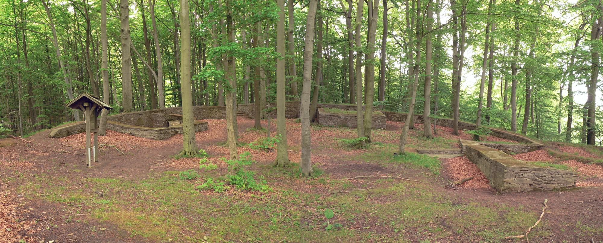 Hünenburg Hohenrode Kalesi • Konumu, Fotoğrafları ve Hakkındaki ...