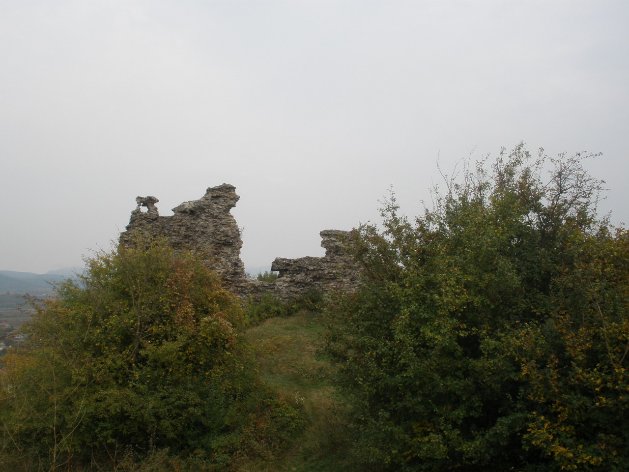Korolevo Castle • Location, Photos and Information About It • Cultural ...