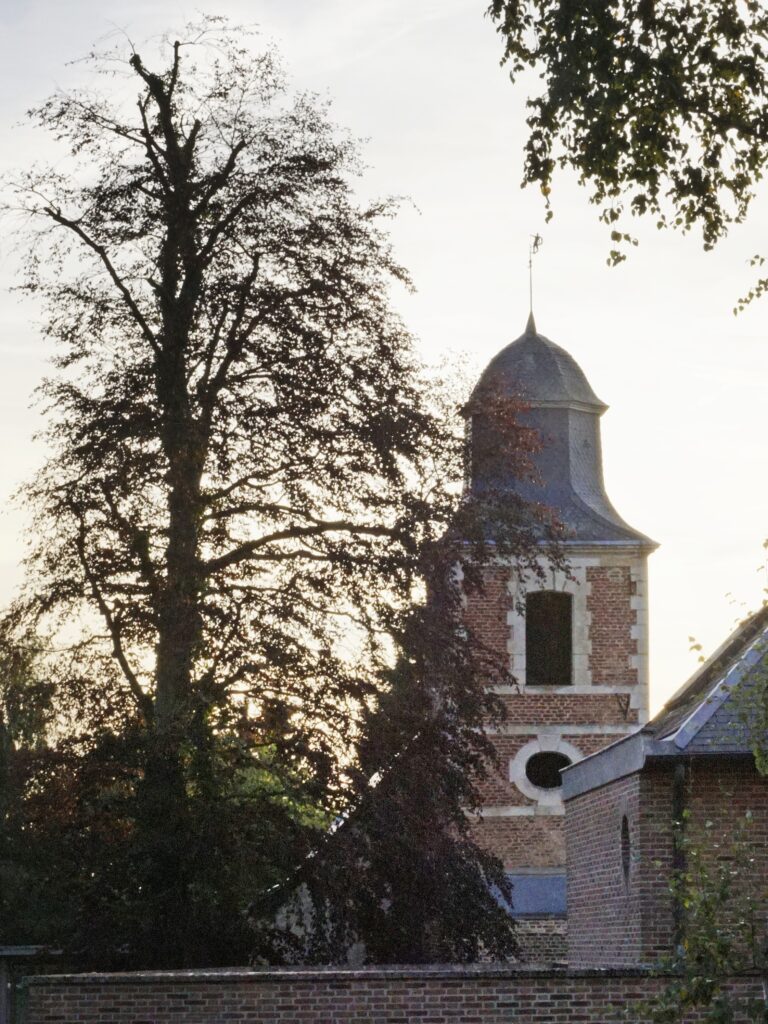 Colombière Güvercinliği • Konumu, Fotoğrafları ve Hakkındaki Bilgiler ...