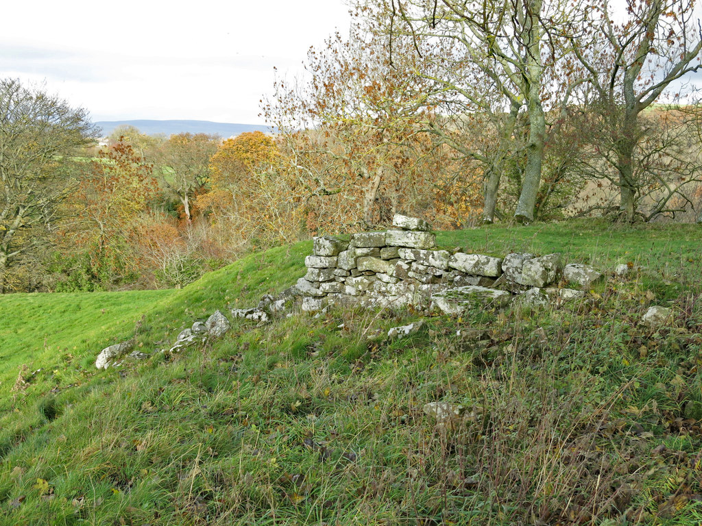 The-remains-of-Cotherstone-Castle • Cultural Inventory